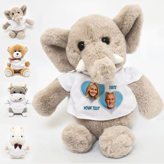 Add Your Own Photo Teddy Bear - Design 2 (Choose Teddy)