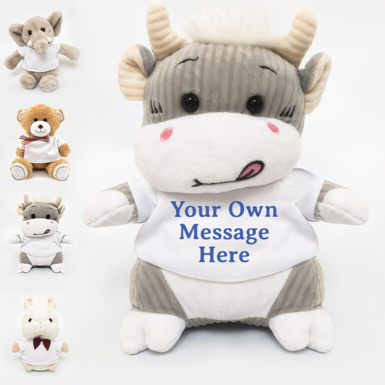 Teddy Bears | Personalised Message Teddy Bears | Order Teddy Bears